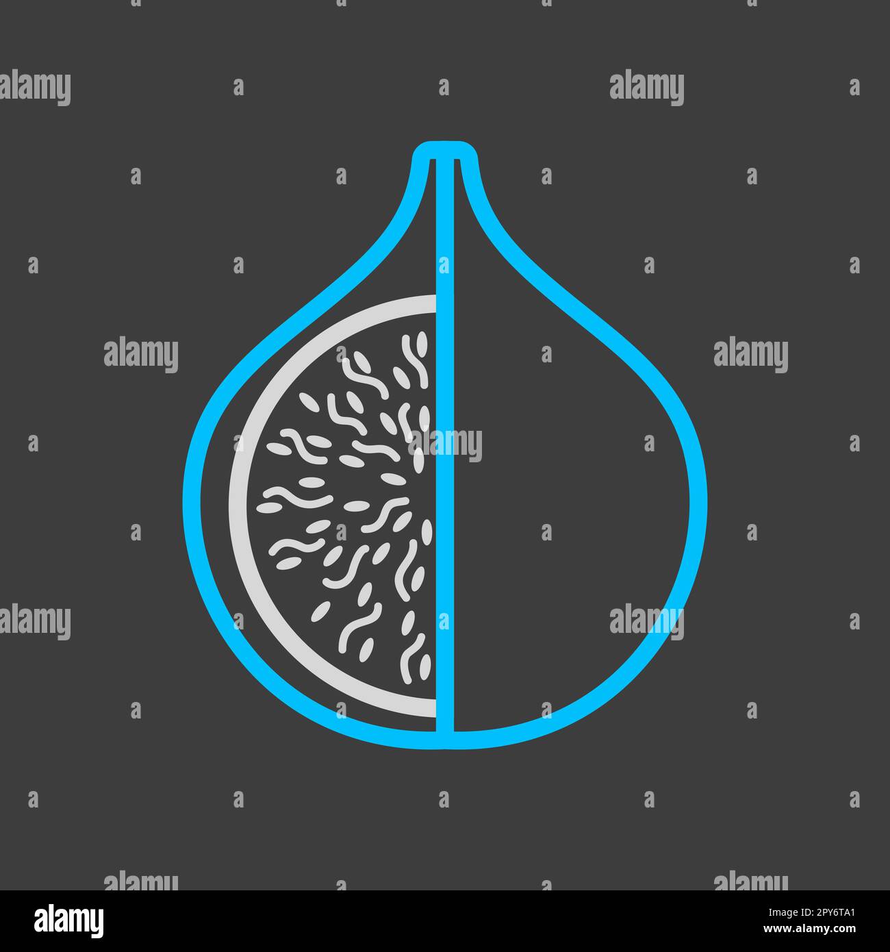 Fig tropical fruit vector on dark background icon. Graph symbol for ...