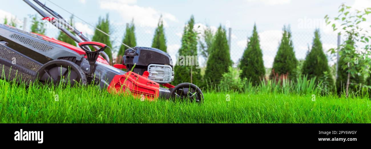 Lawn mower cutting green grass in backyard, mowing lawn Stock Photo - Alamy