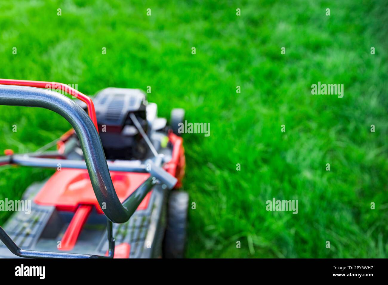 Lawn mower cutting green grass in backyard, mowing lawn Stock Photo - Alamy