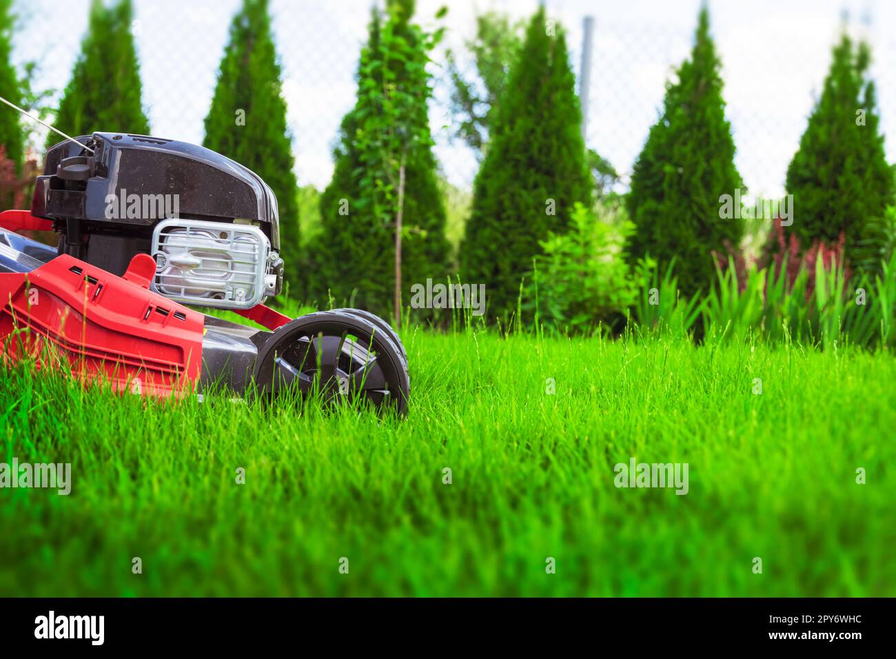 Lawn mower cutting green grass in backyard, mowing lawn Stock Photo - Alamy