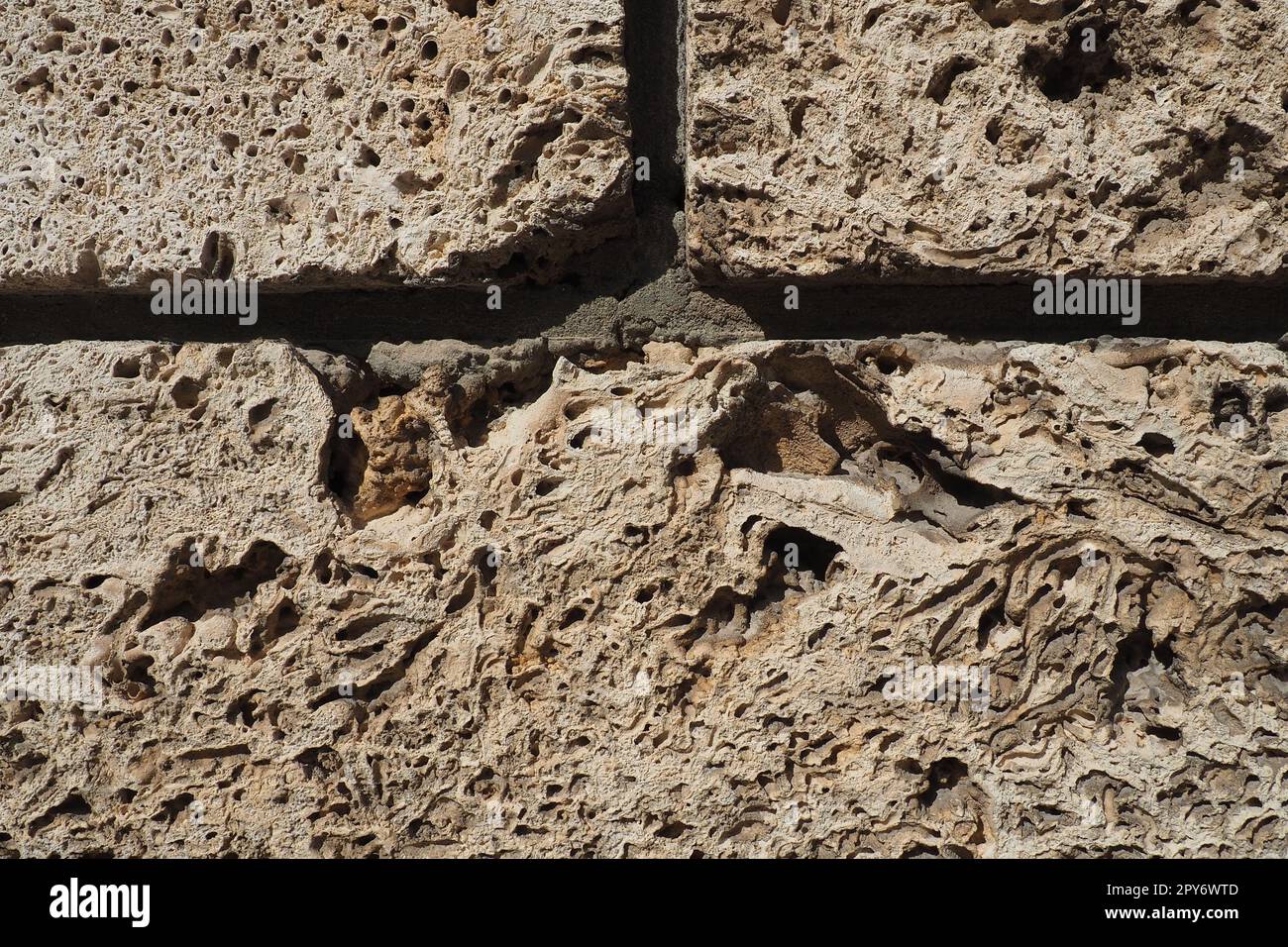 Textured wall lined with beige shell rock tiles. Close-up of a wall ...