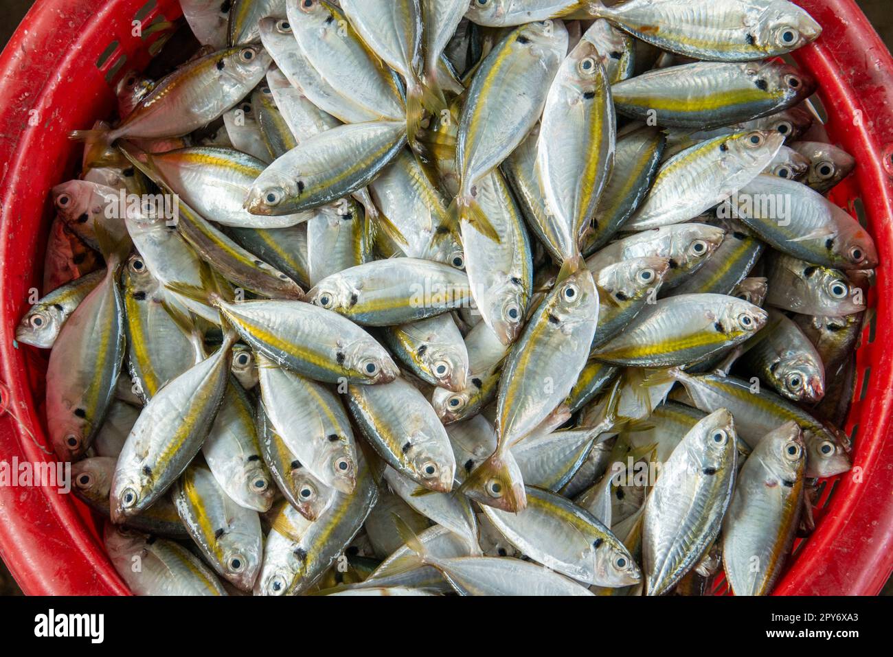 THAILAND PRACHUAP HUA HIN PAK NAM PRAN FISHING VILLAGE Stock Photo - Alamy