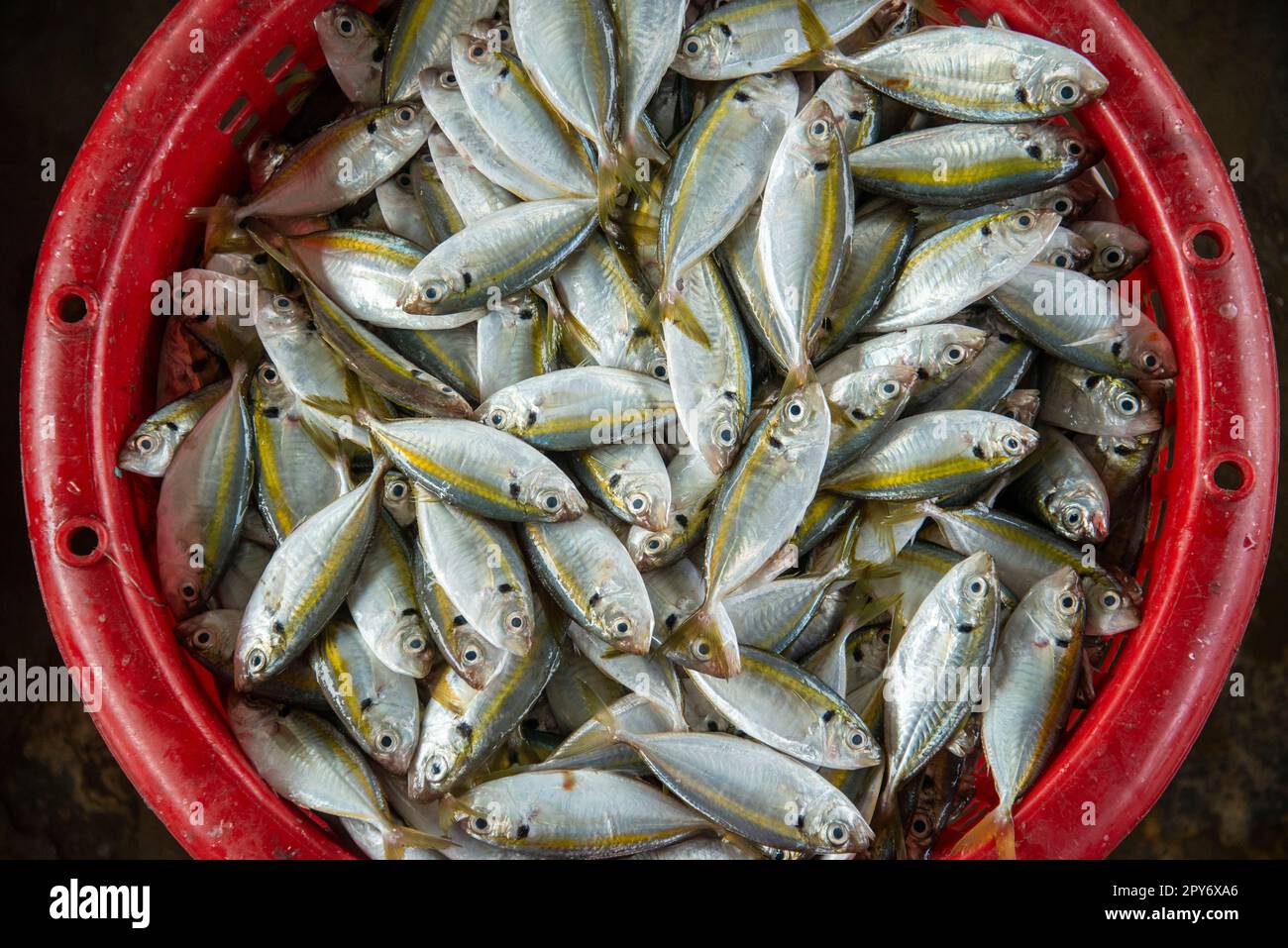 THAILAND PRACHUAP HUA HIN PAK NAM PRAN FISHING VILLAGE Stock Photo - Alamy