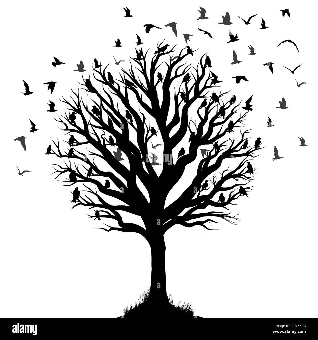 Abstract tree silhouette with flock of birds flying Stock Photo - Alamy