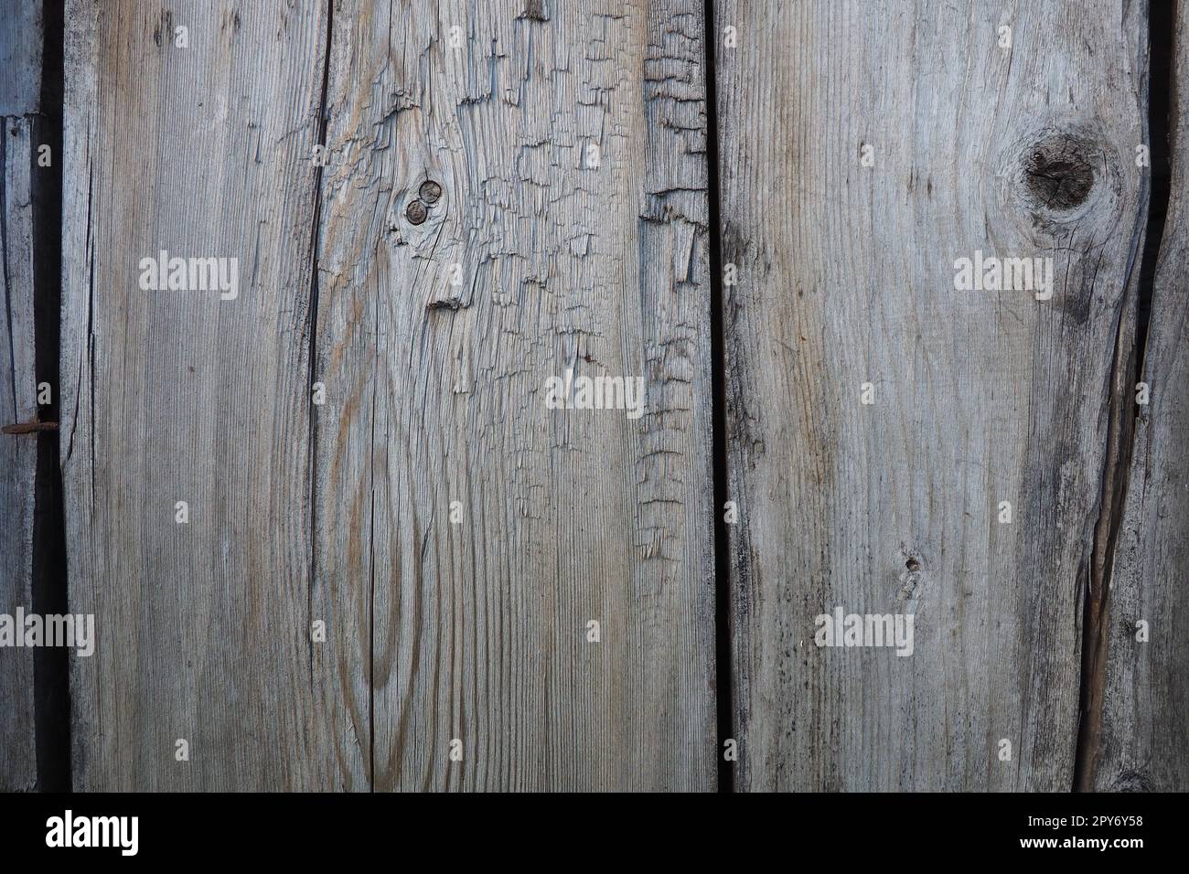 Vertical boards background. Gray brown old wood with knots. Board wall ...