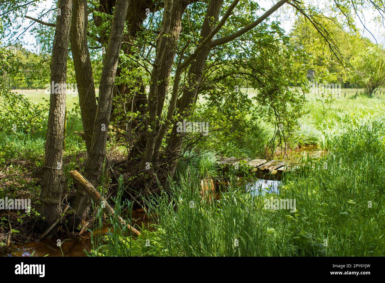 German countryside landscape, Lower Rhine Region in Germany Stock Photo ...