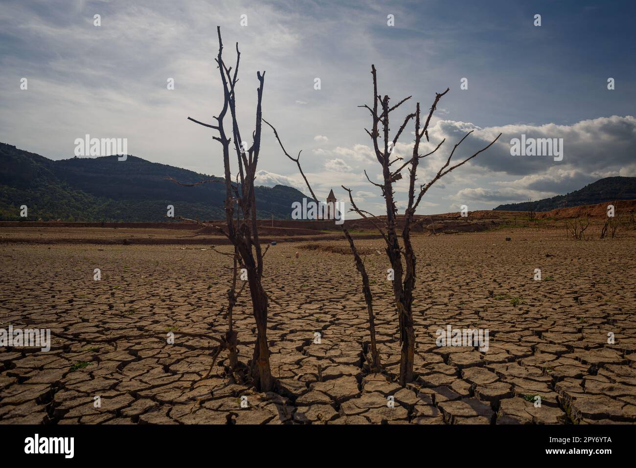 Scorched earth and earth clods are seen on dry land caused by drought ...