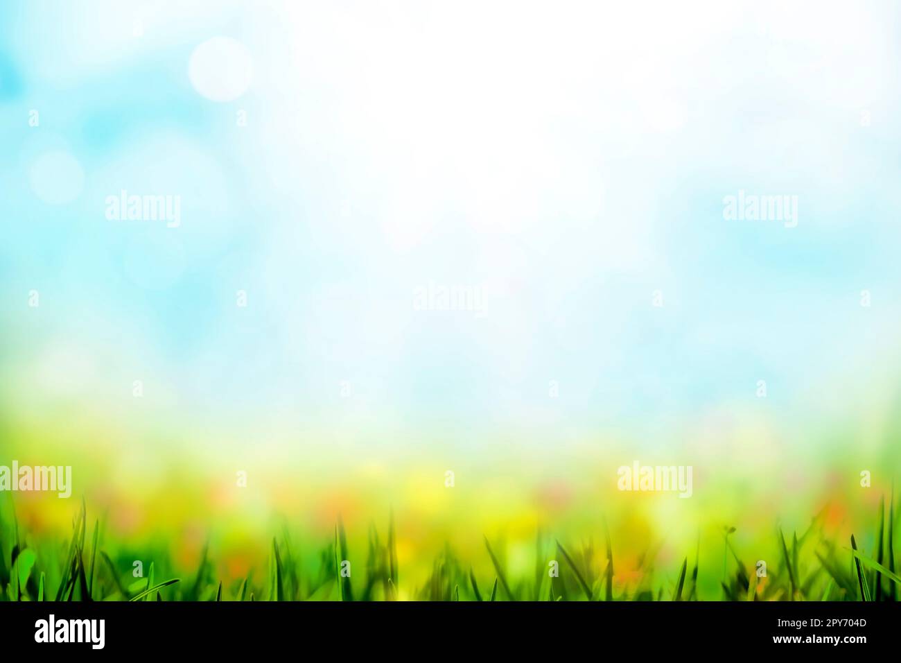 Spring leaf sunny hi-res stock photography and images - Alamy