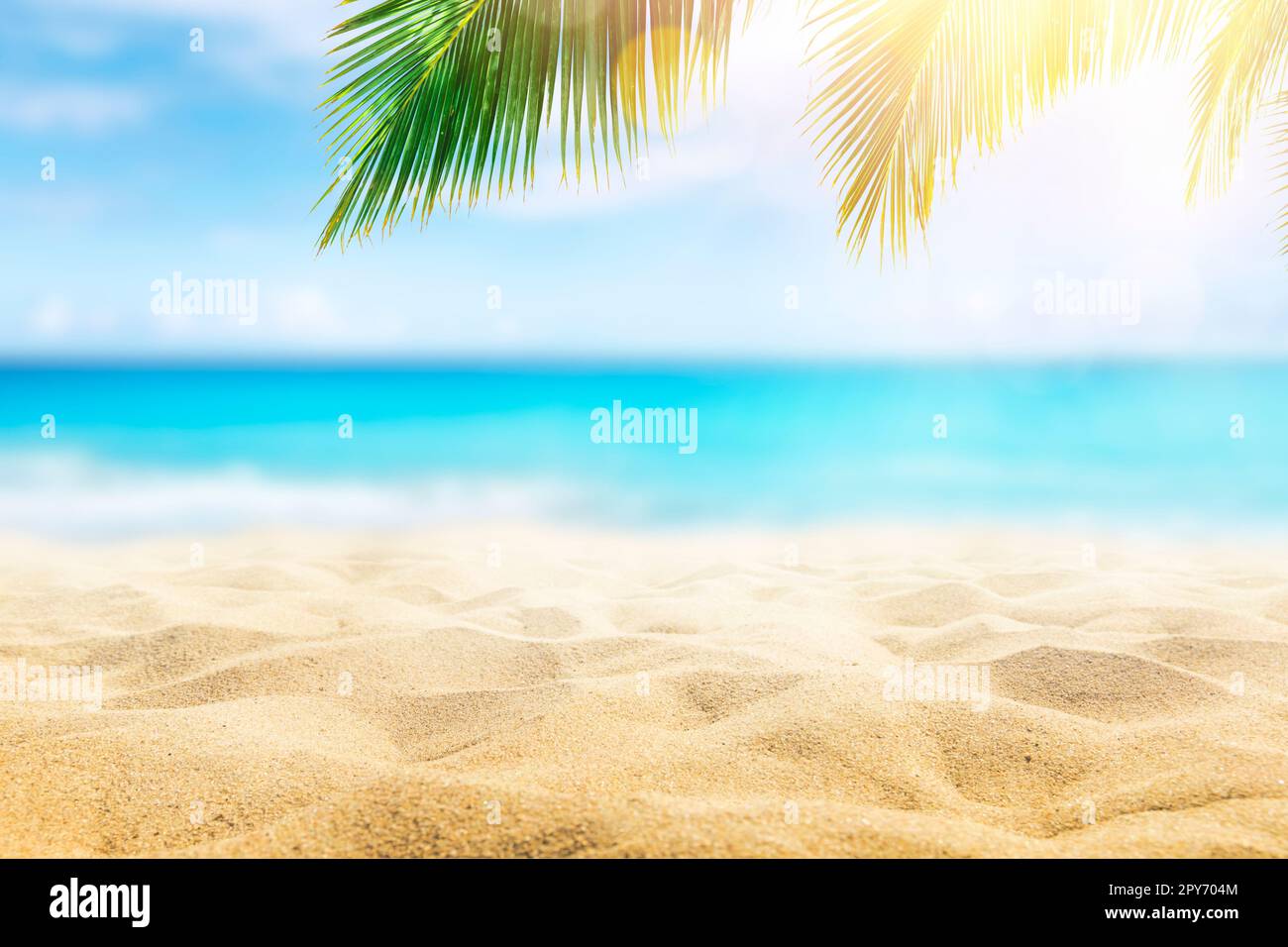 Tropical beach with sun light wave abstract background. Copy space of ...