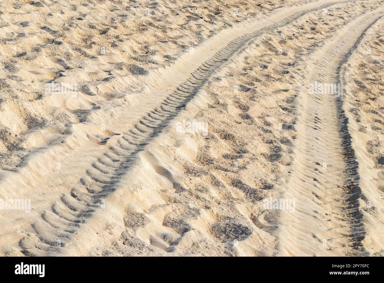 Ruts of an excavator in the beach sand in Mexico Stock Photo - Alamy