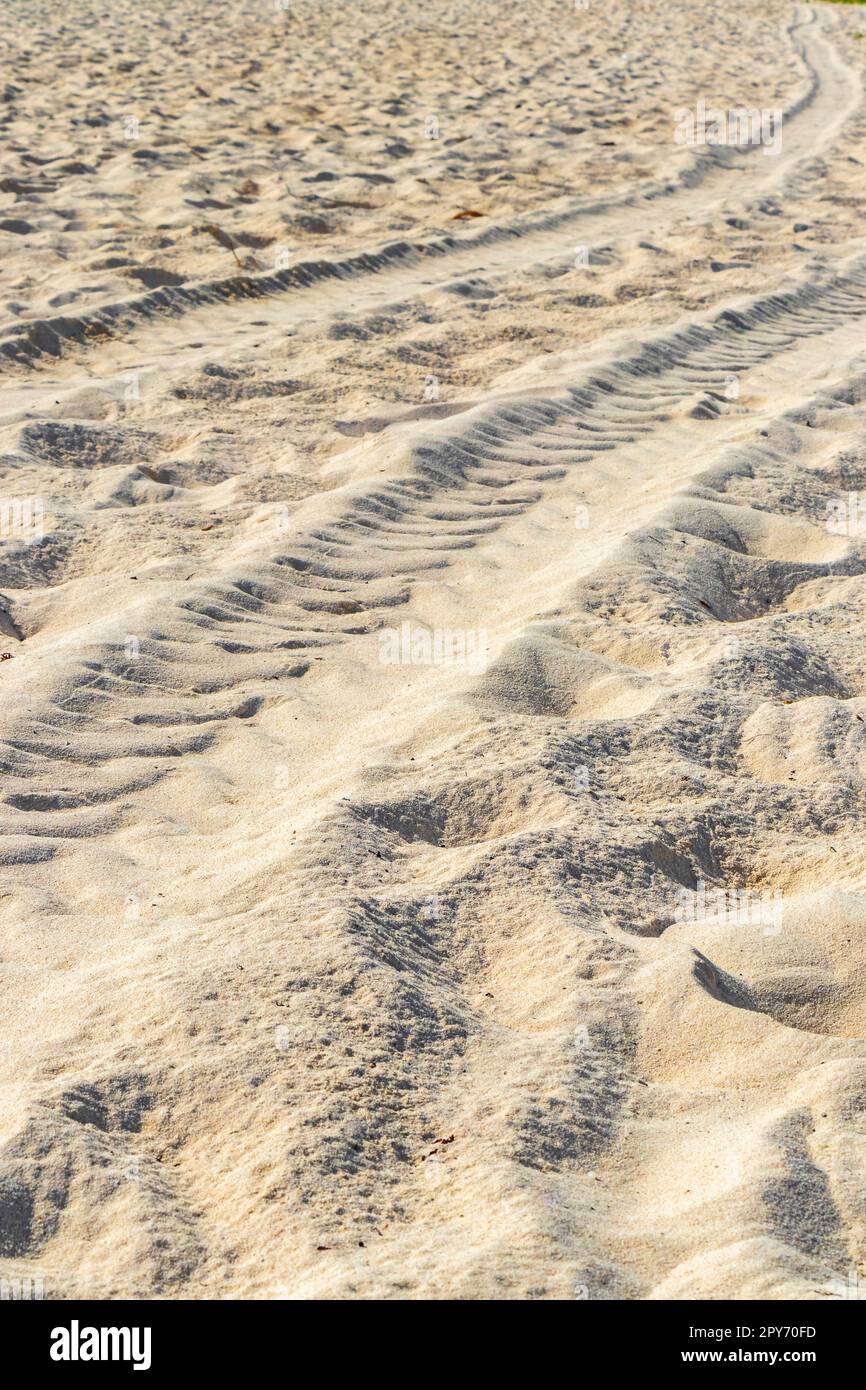 Ruts of an excavator in the beach sand in Mexico Stock Photo - Alamy
