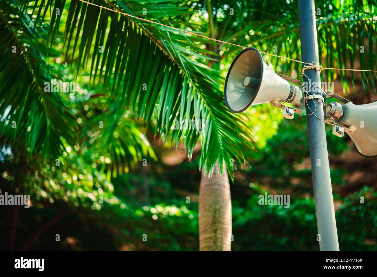 Speaker on a pole against the background of tropical trees Stock Photo ...