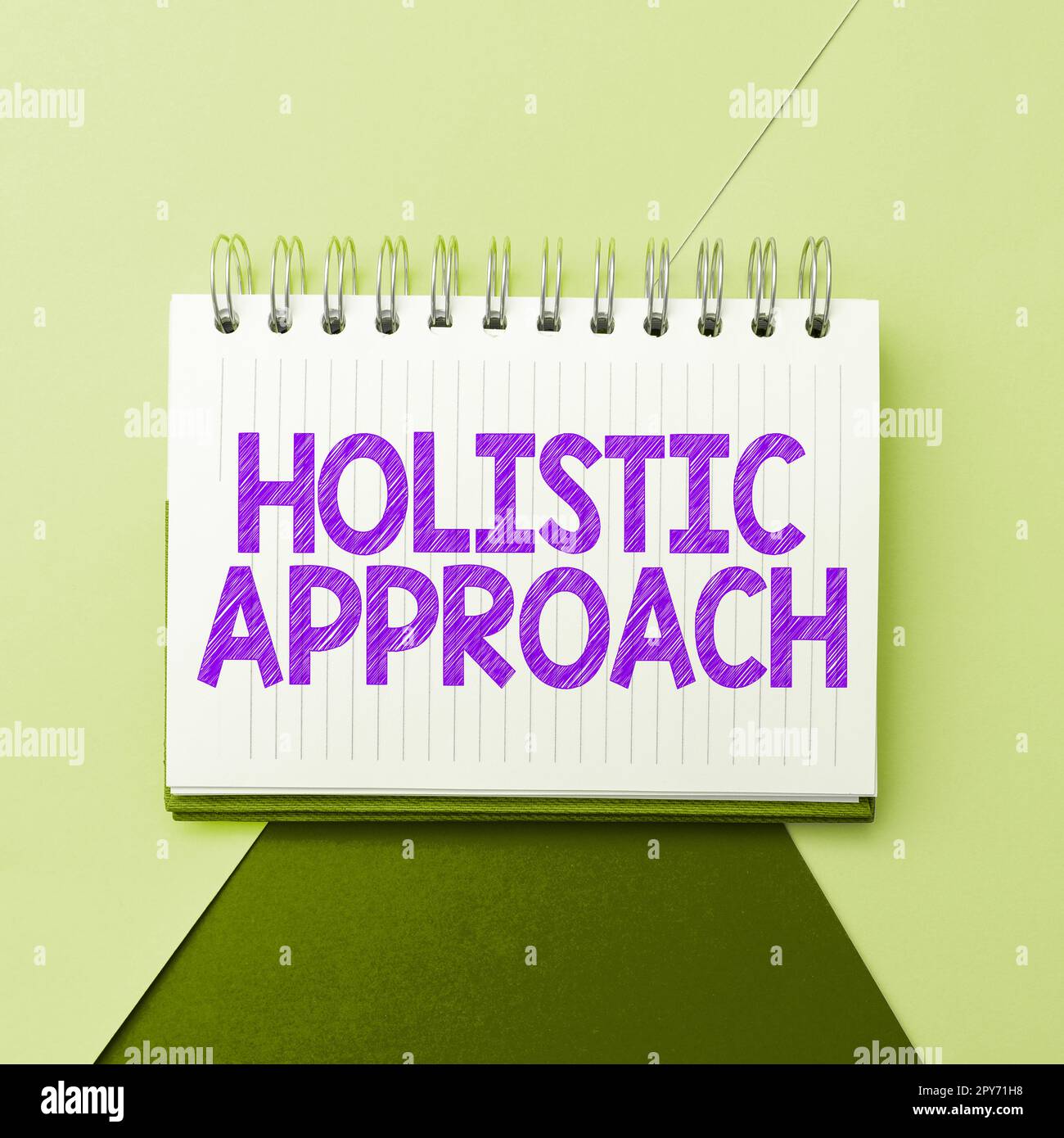 Conceptual display Holistic Approach. Business overview characterized ...