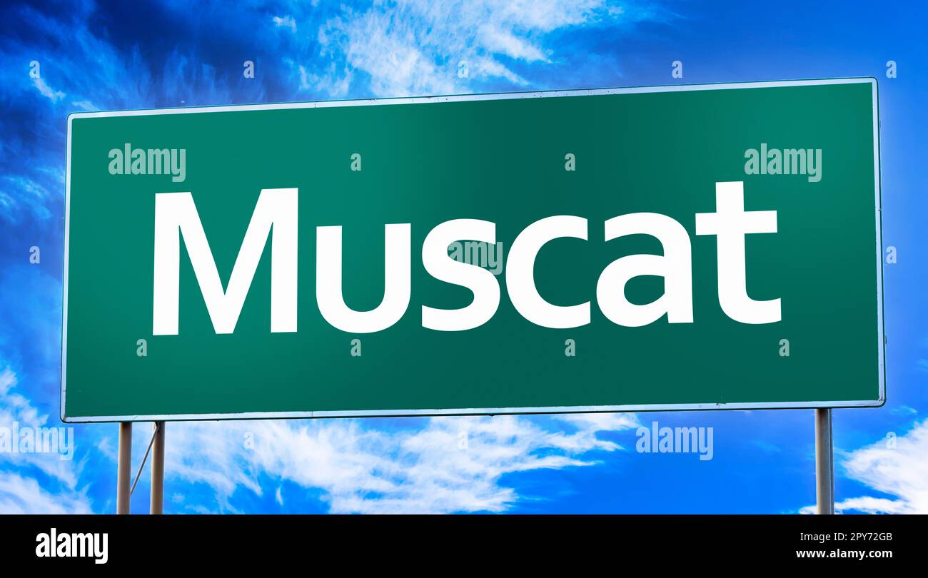 Road sign informing of the entrance to the city of Muscat Stock Photo ...