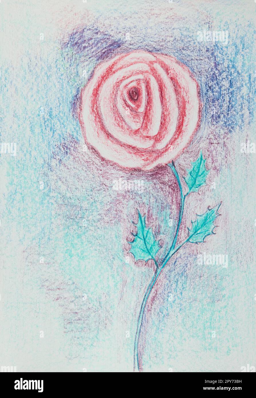 Pink rose drawing on a blue background. The dabbing technique near the ...