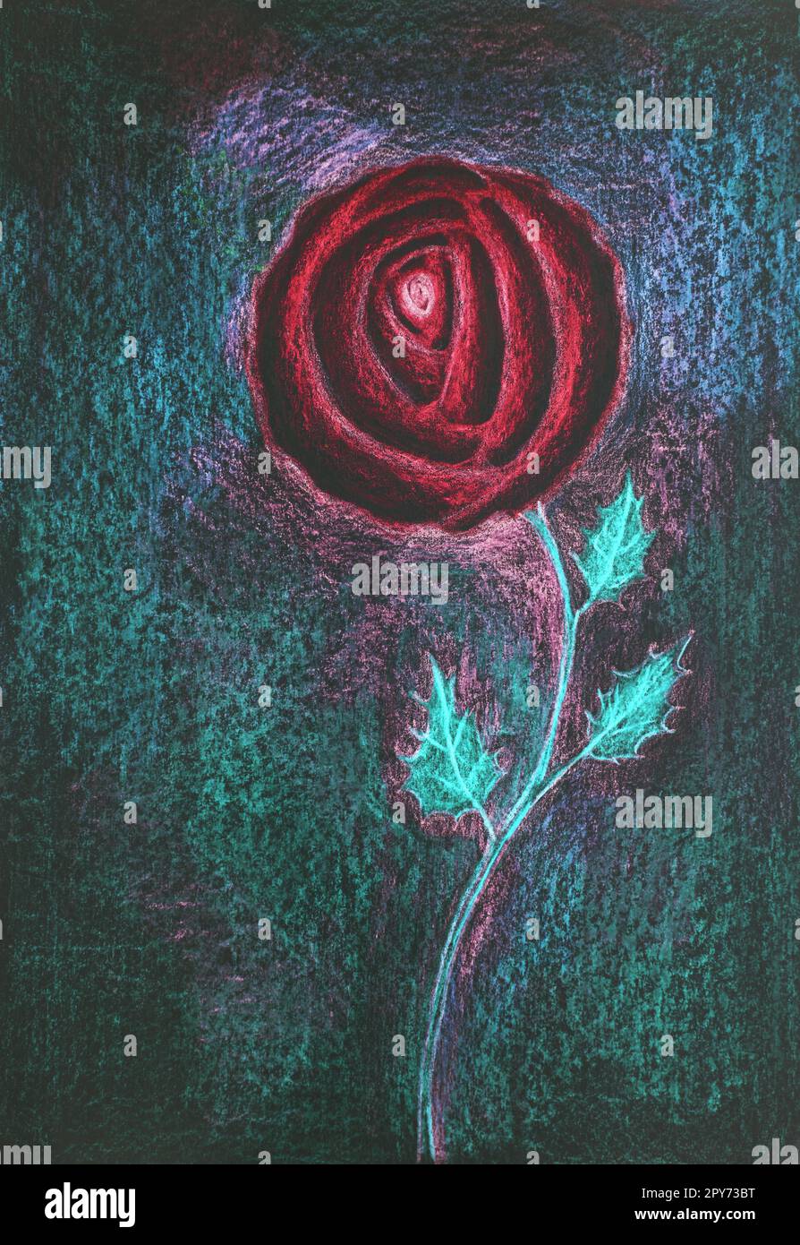 Red rose drawing on a dark blue background. The dabbing technique near ...