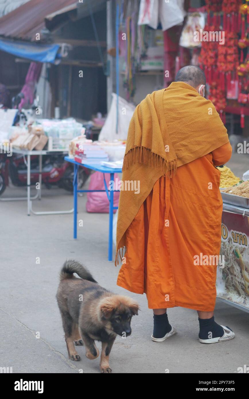 Buddhist monk shopping at street market with his dog in north Thailand ...
