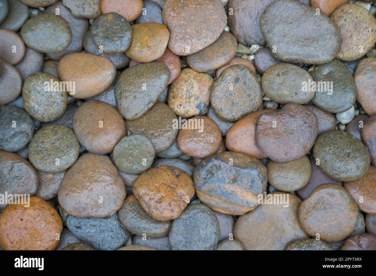 Wet rock river texture background Stock Photo - Alamy