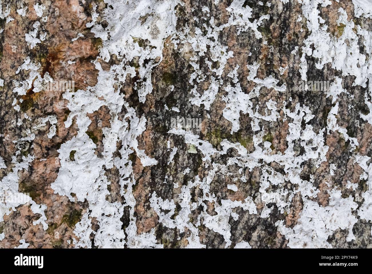 Detailed and colorful close up at paint on concrete wall textures in ...