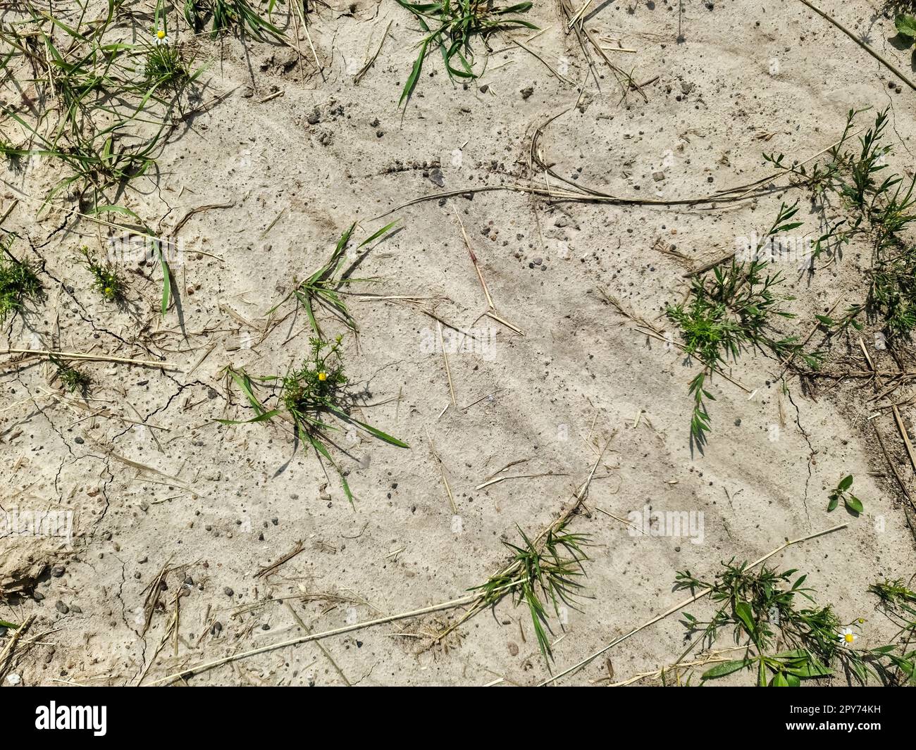 Brown sand ground texture in high resolution Stock Photo - Alamy
