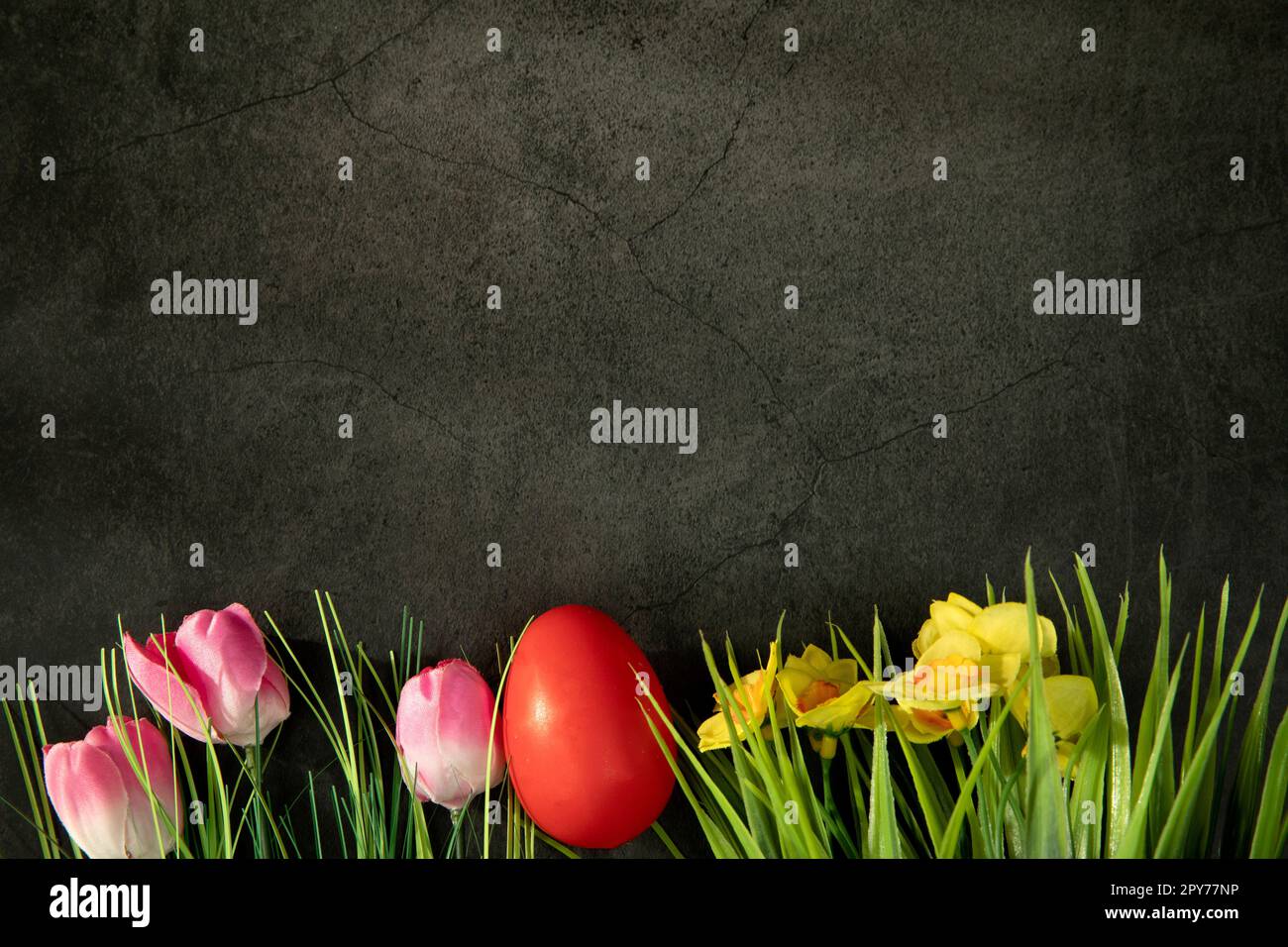 Easter eggs on fresh green grass against grey concrete background ...