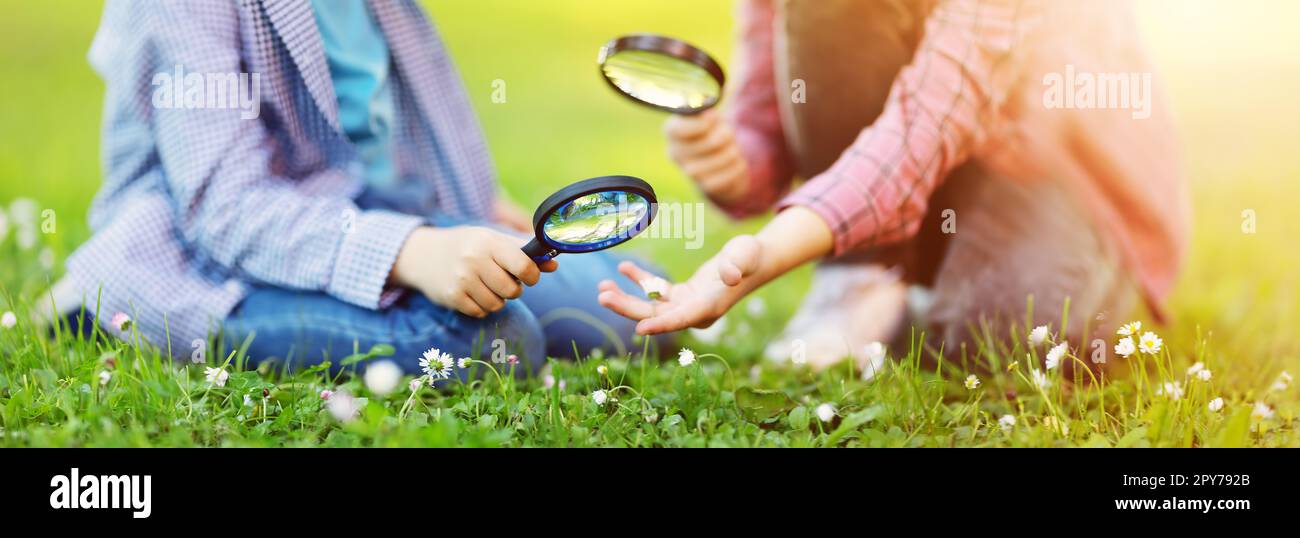 Children exploring fresh nature by using magnifying glasses Stock Photo ...
