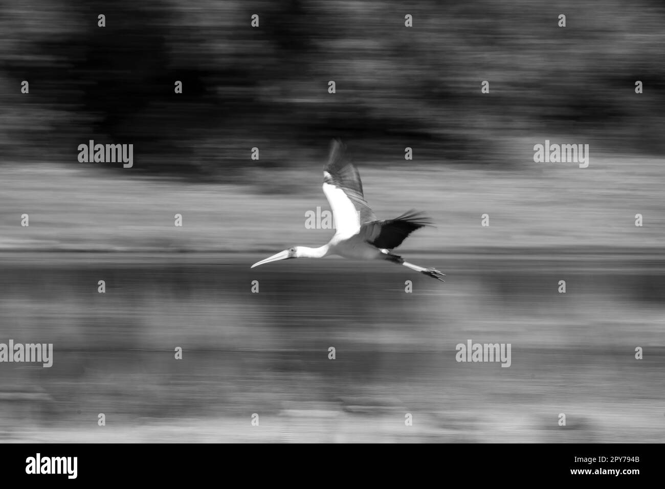 Slow panning shot hi-res stock photography and images - Alamy