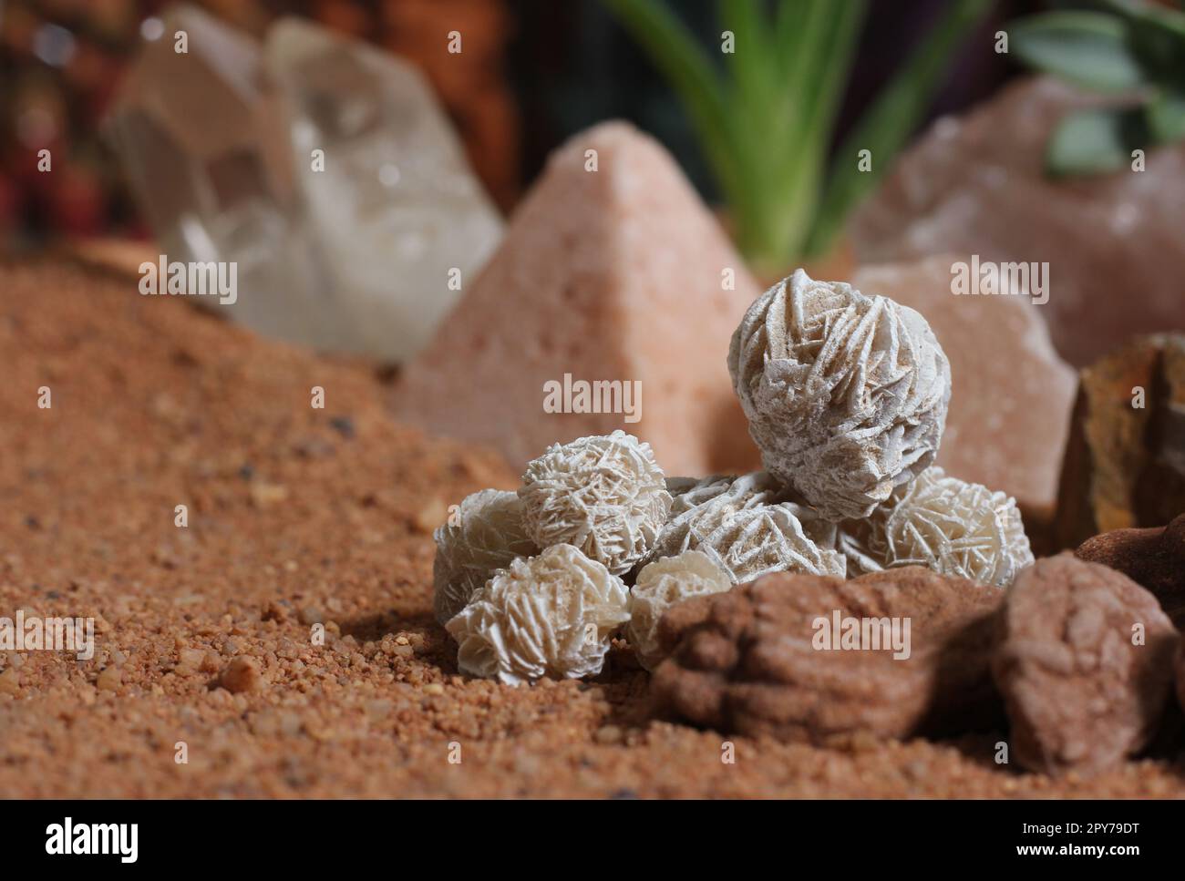 Desert rose of gypsum crystals hi-res stock photography and images - Alamy