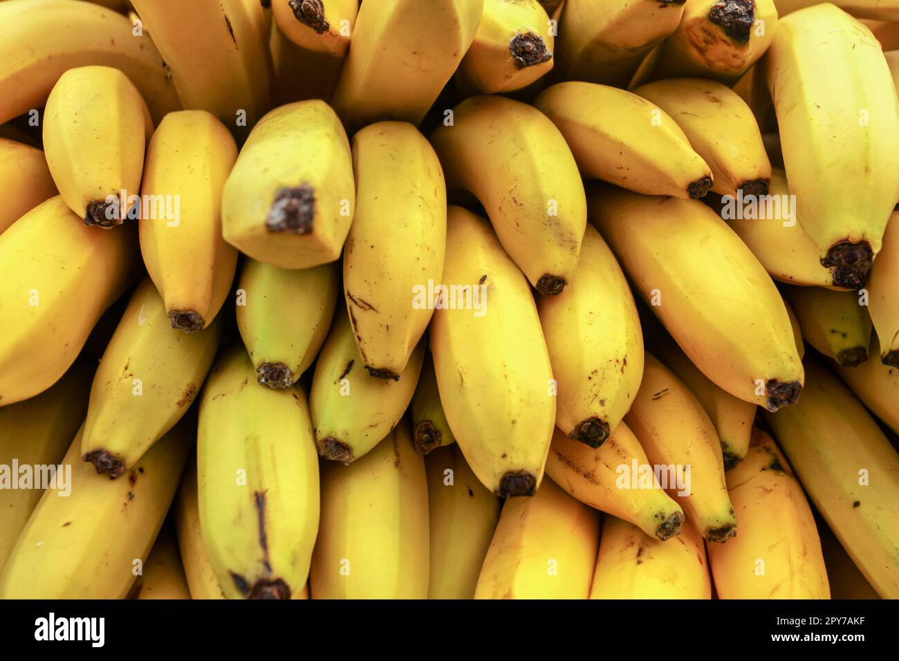 Bunch delicious bananas on hi-res stock photography and images - Alamy