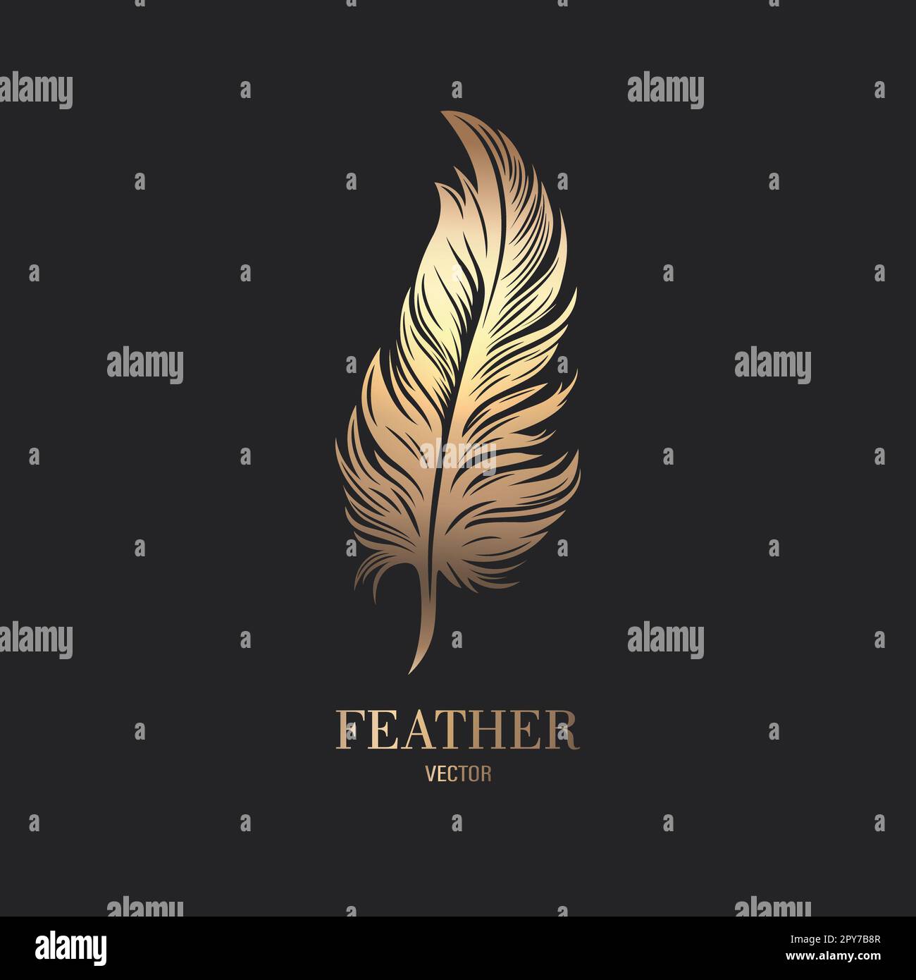 Vector Fluffy Golden Color Feather Logo Icon, Silhouette Feather ...