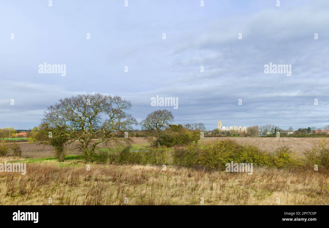 The ancient minster on horizon flanked by farmland, trees, and tall ...