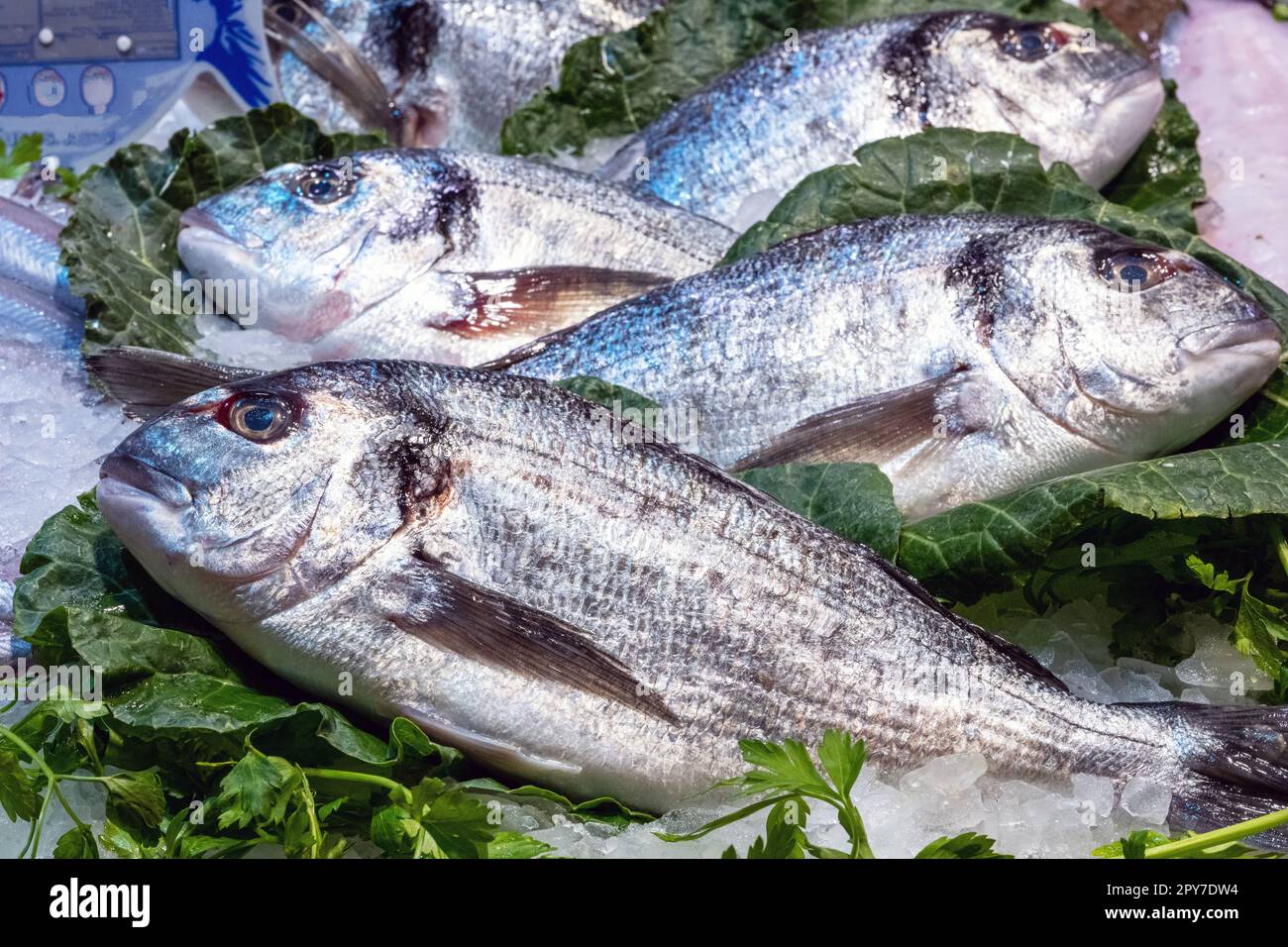 Fresh fish for sale seen at a market in Barcelona, Spain Stock Photo ...