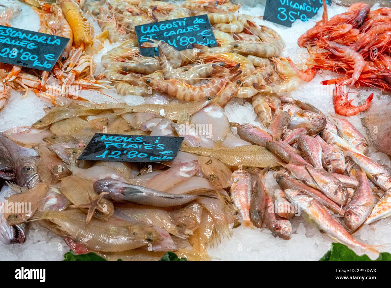 Fresh seafood and fish for sale at a market in Barcelona, Spain Stock ...
