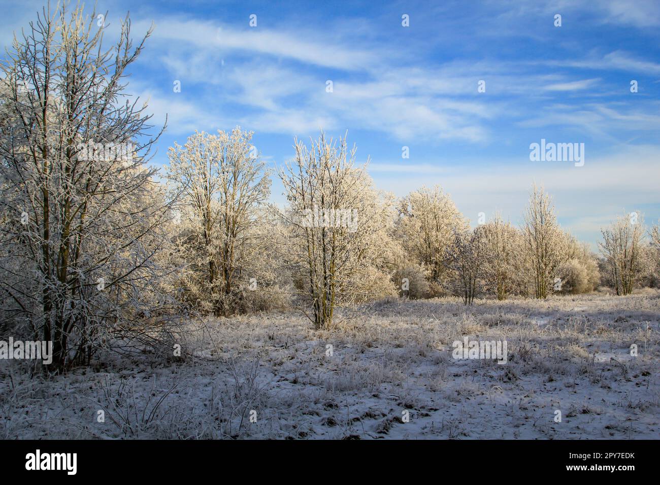 Frosty winter landscape hi-res stock photography and images - Alamy