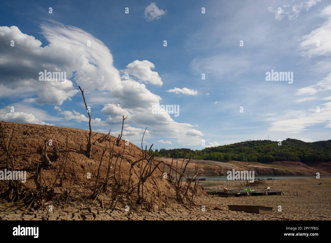 Scorched earth and earth clods are seen on dry land caused by drought ...