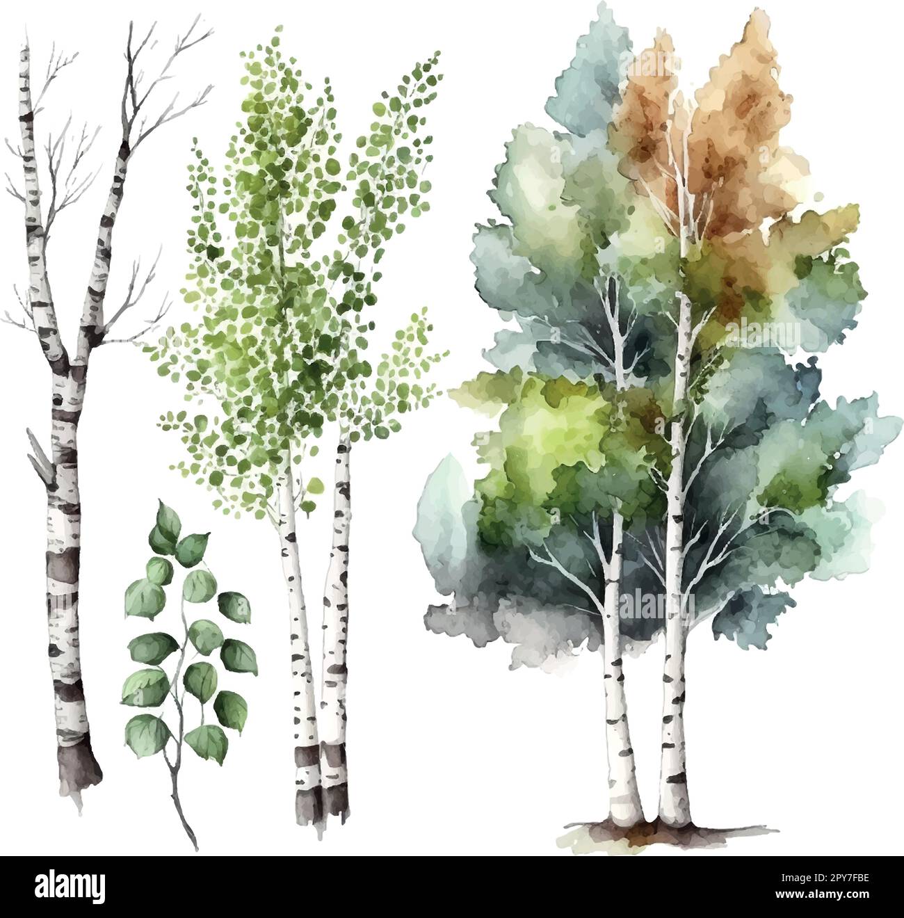 Watercolor birch trees Russia tree Design element for wallpapers, web ...