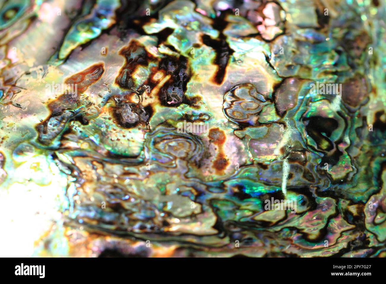 luxury pearl texture as very nice and color natural background Stock ...
