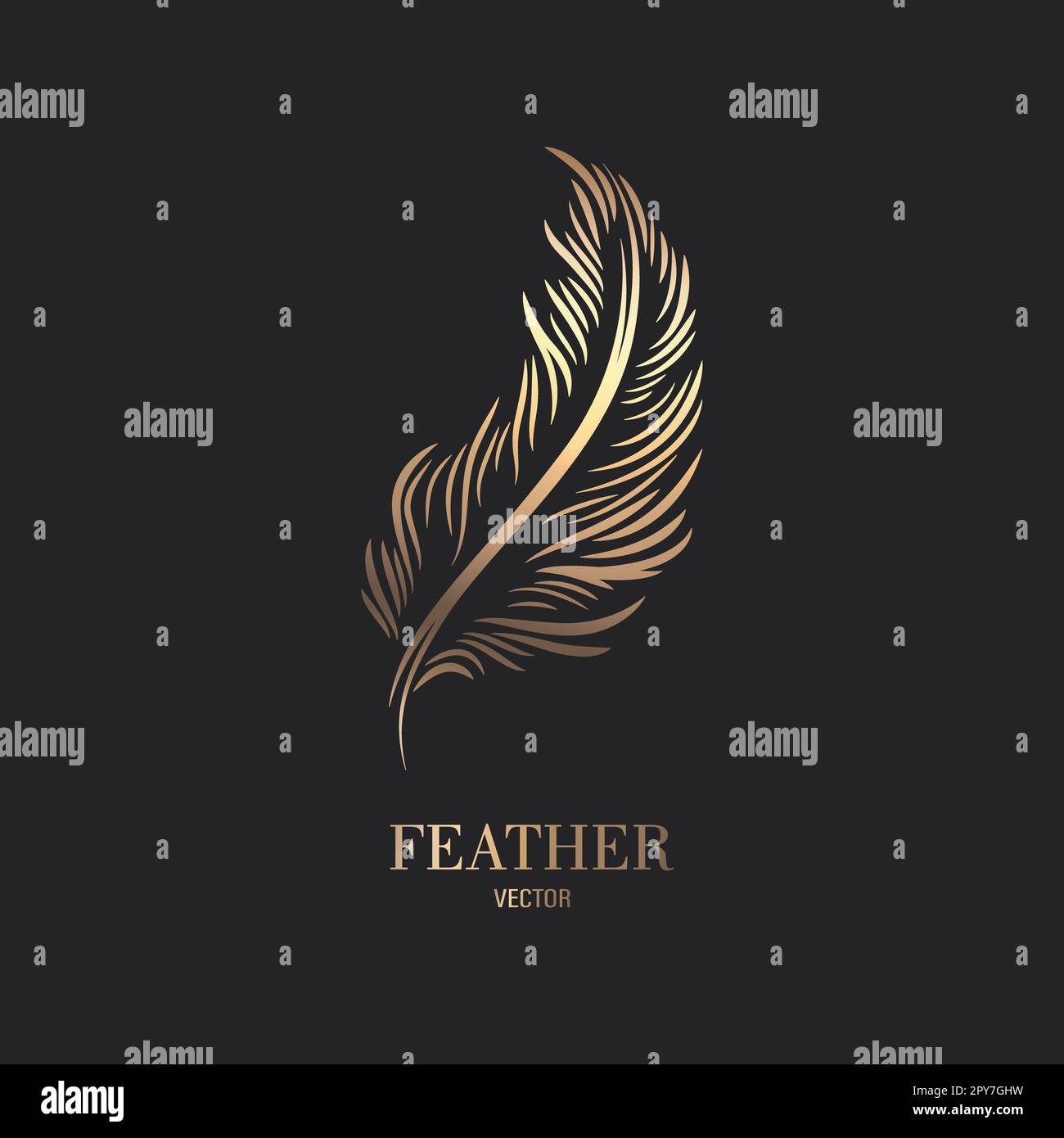 Vector Fluffy Golden Color Feather Logo Icon, Silhouette Feather ...
