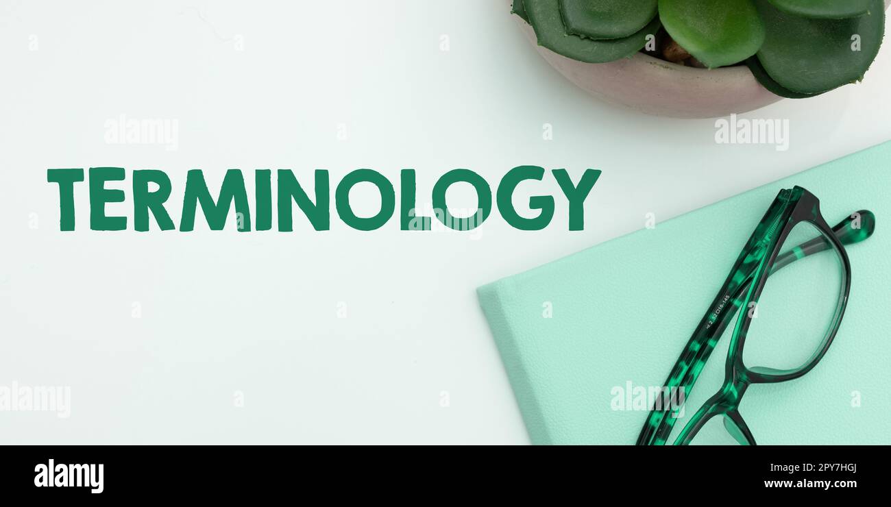 Conceptual display Terminology. Word for Terms used with particular ...