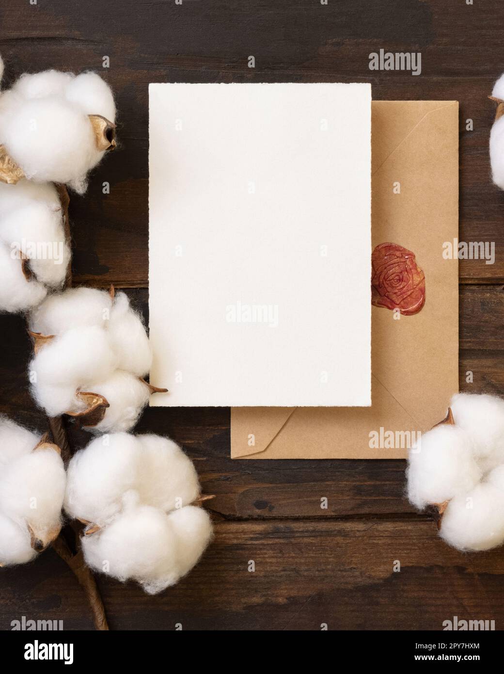 Blank card and envelope with cotton flowers top view on dark brown wood ...