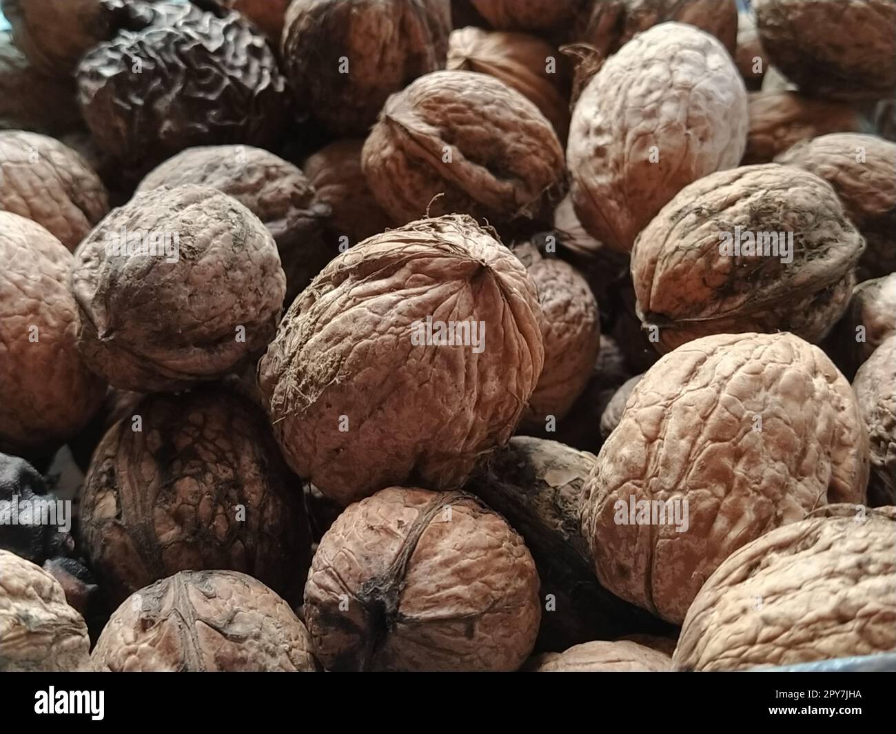 Walnuts close-up. Harvest of nuts. Walnut fruits, rounded large single ...