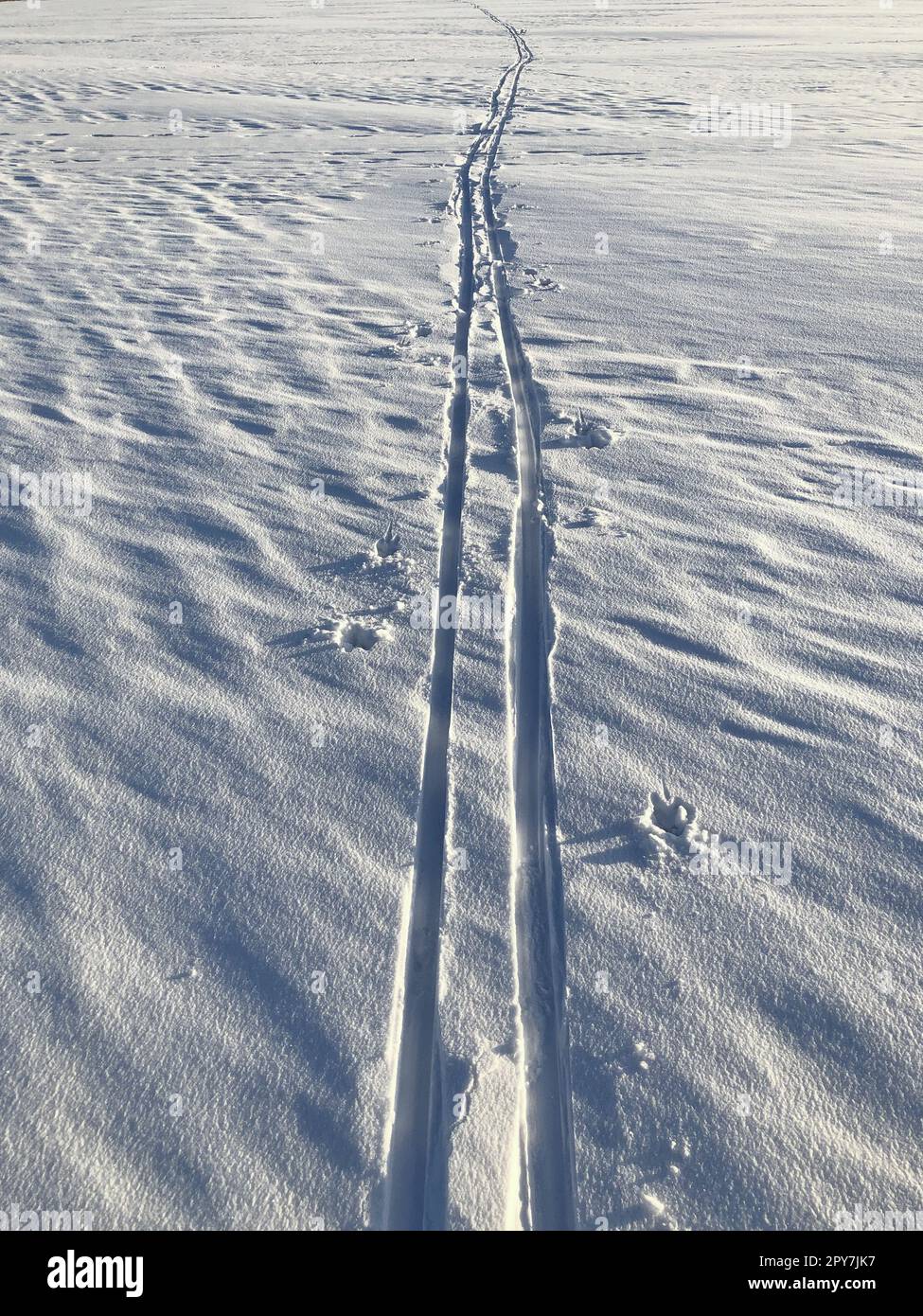 ski track into the endless distance Stock Photo - Alamy