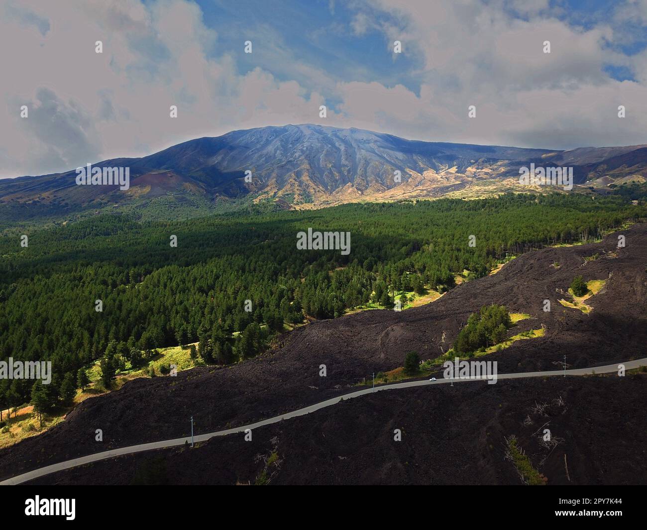 Mount Etna volcanic landscape and its typical vegetation, Sicily Stock ...