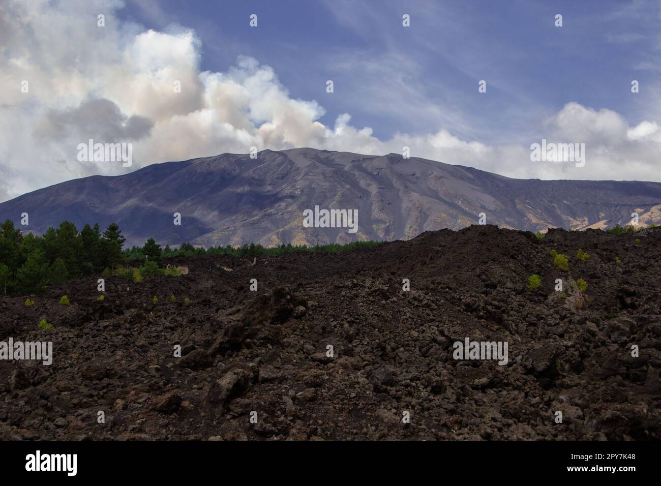 Mount Etna volcanic landscape and its typical vegetation, Sicily Stock ...