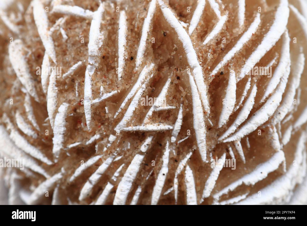 sand rose minerals as very nice natural background Stock Photo - Alamy
