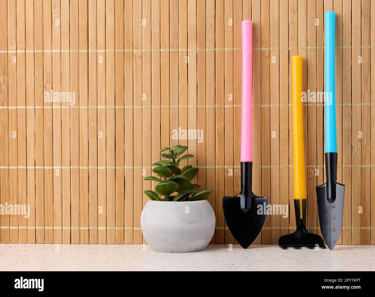 Miniature garden tools for transplanting plants, home hobby Stock Photo ...