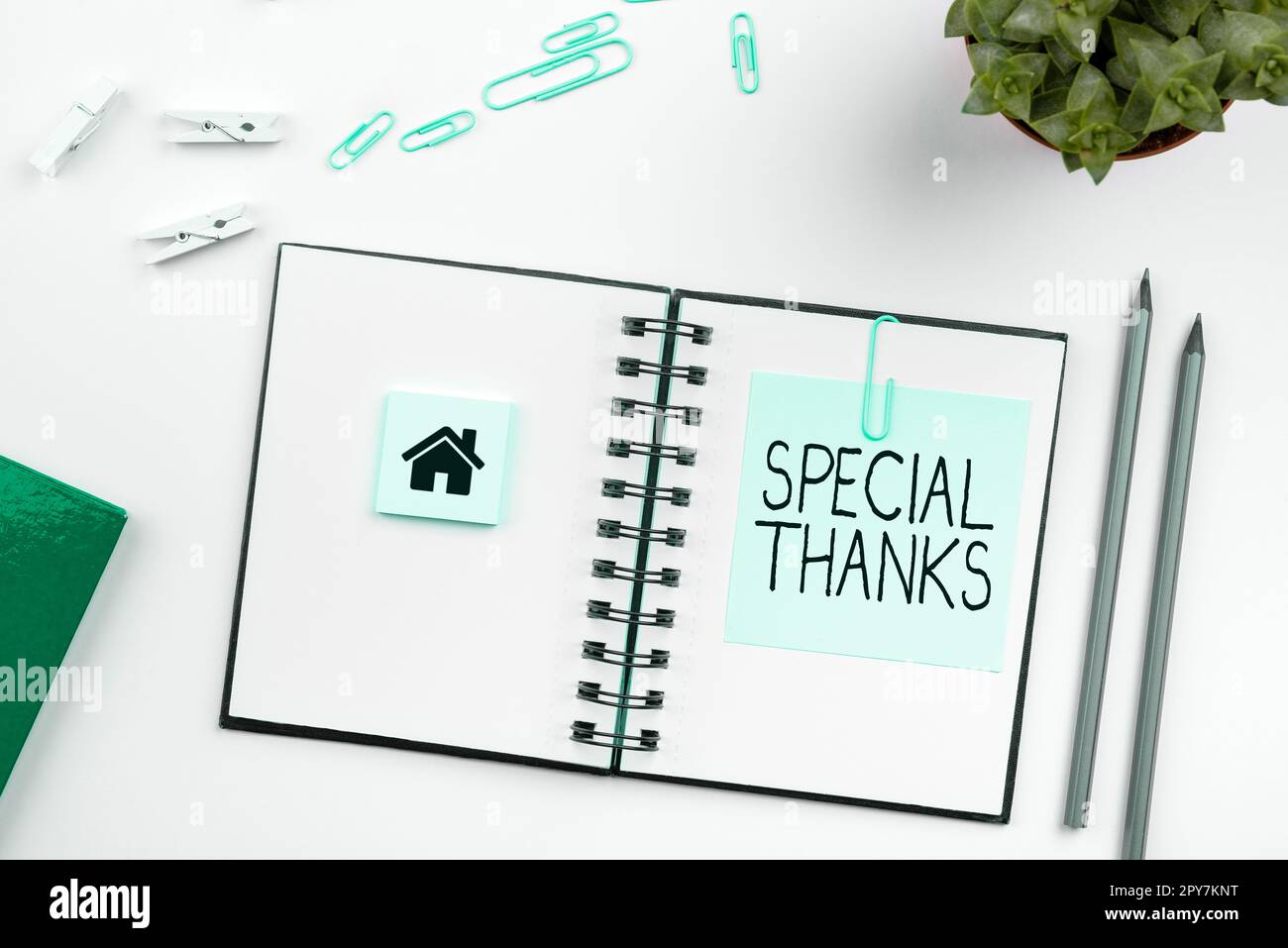 Text sign showing Special Thanks. Business overview expression of appreciation or gratitude or ...