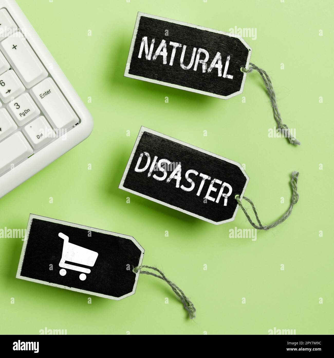 Text showing inspiration Natural Disaster. Business approach occurring ...