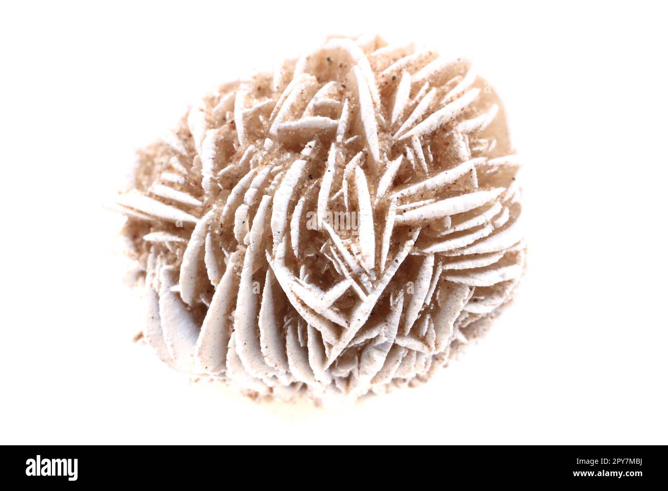 sand rose minerals isolated on the white background Stock Photo - Alamy