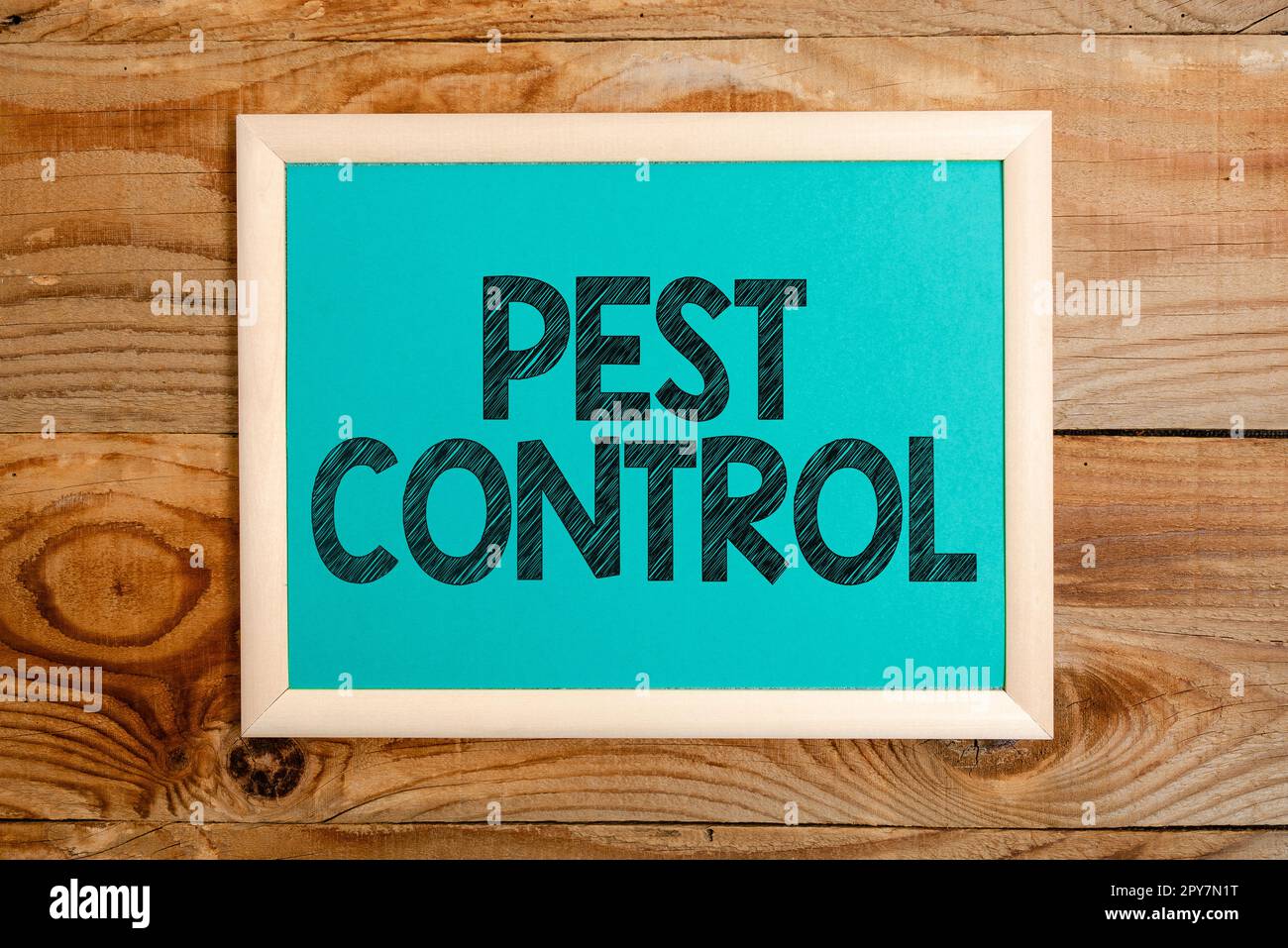 Conceptual caption Pest Control. Word for Killing destructive insects ...